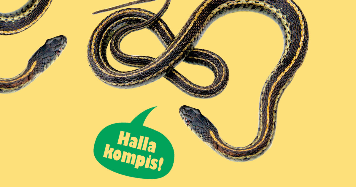 Slanger har også venner